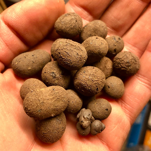 Buy LECA Clay Pellets Online • Expanded Clay for Plants South Africa ...